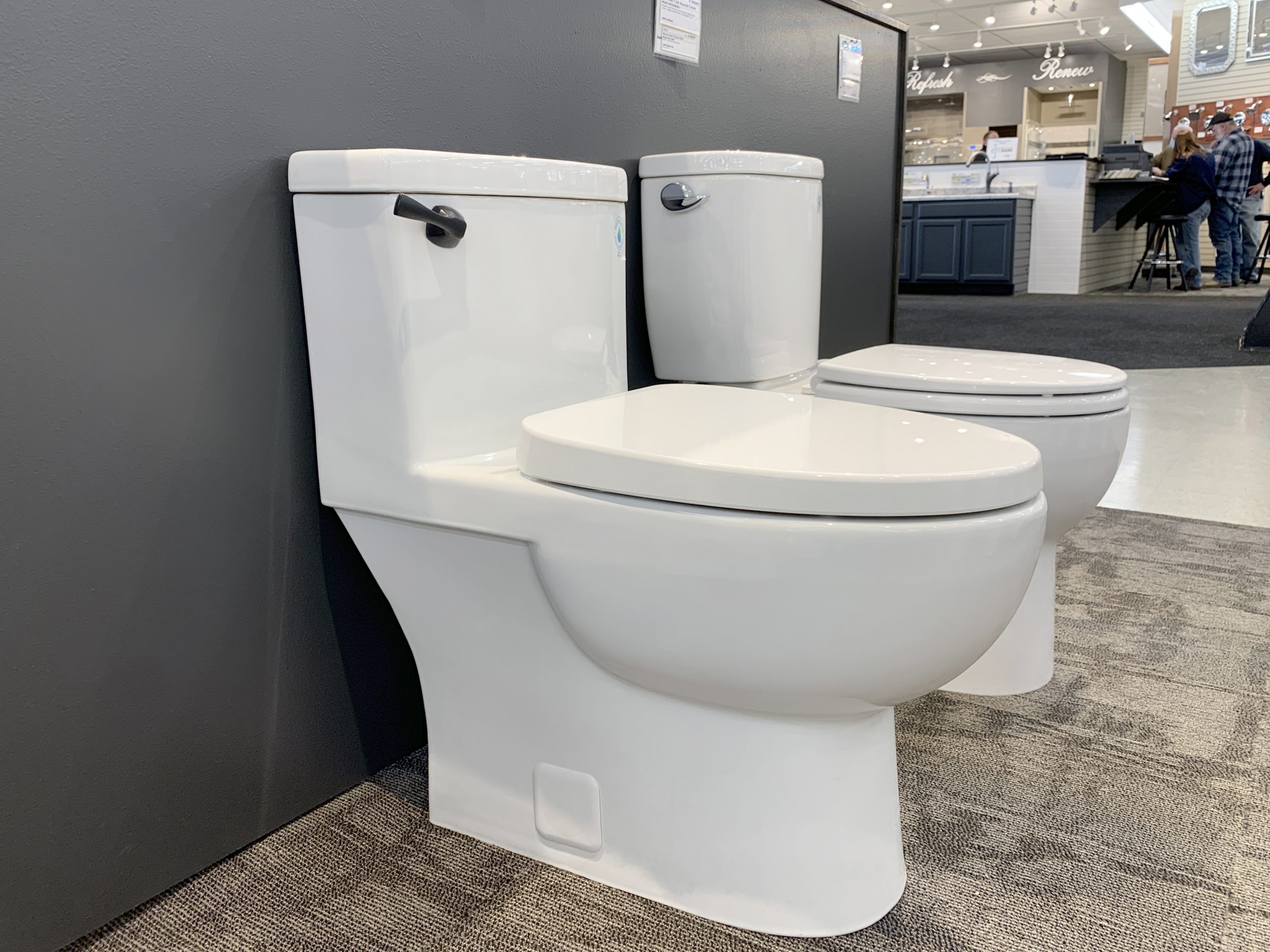 TOILETS - We'll Teach You How To Install!
